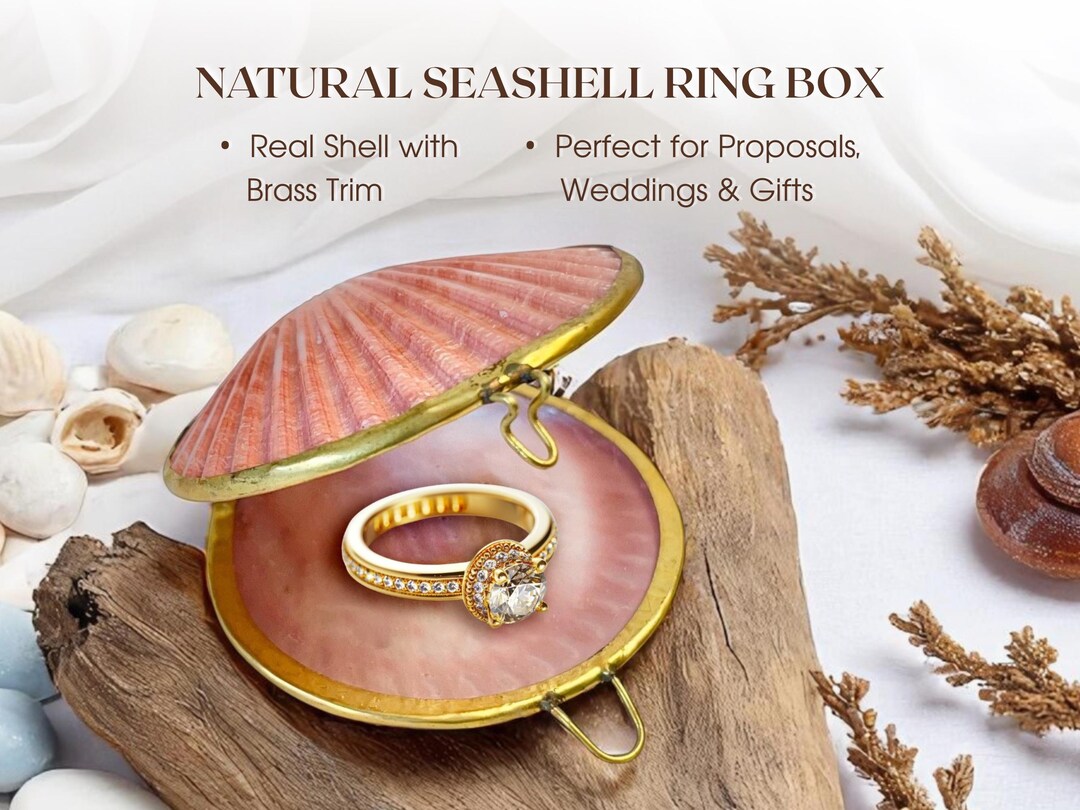 Shell Ring Box - FREE SHIPPING – Real Seashell-beach Wedding Ring ...