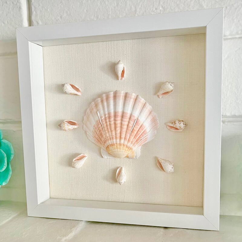 Shell Wall Decor - Etsy