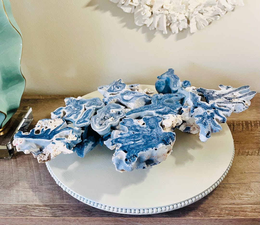 Large Natural Blue Coral Piece - Real Coral - Coffee Table Decor ...