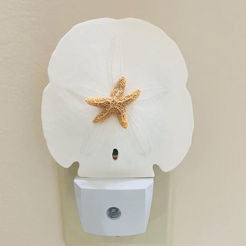 Seashell Night Light - Etsy