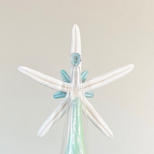 Starfish Christmas Tree Topper - Real Starfish - Coastal Xmas ...