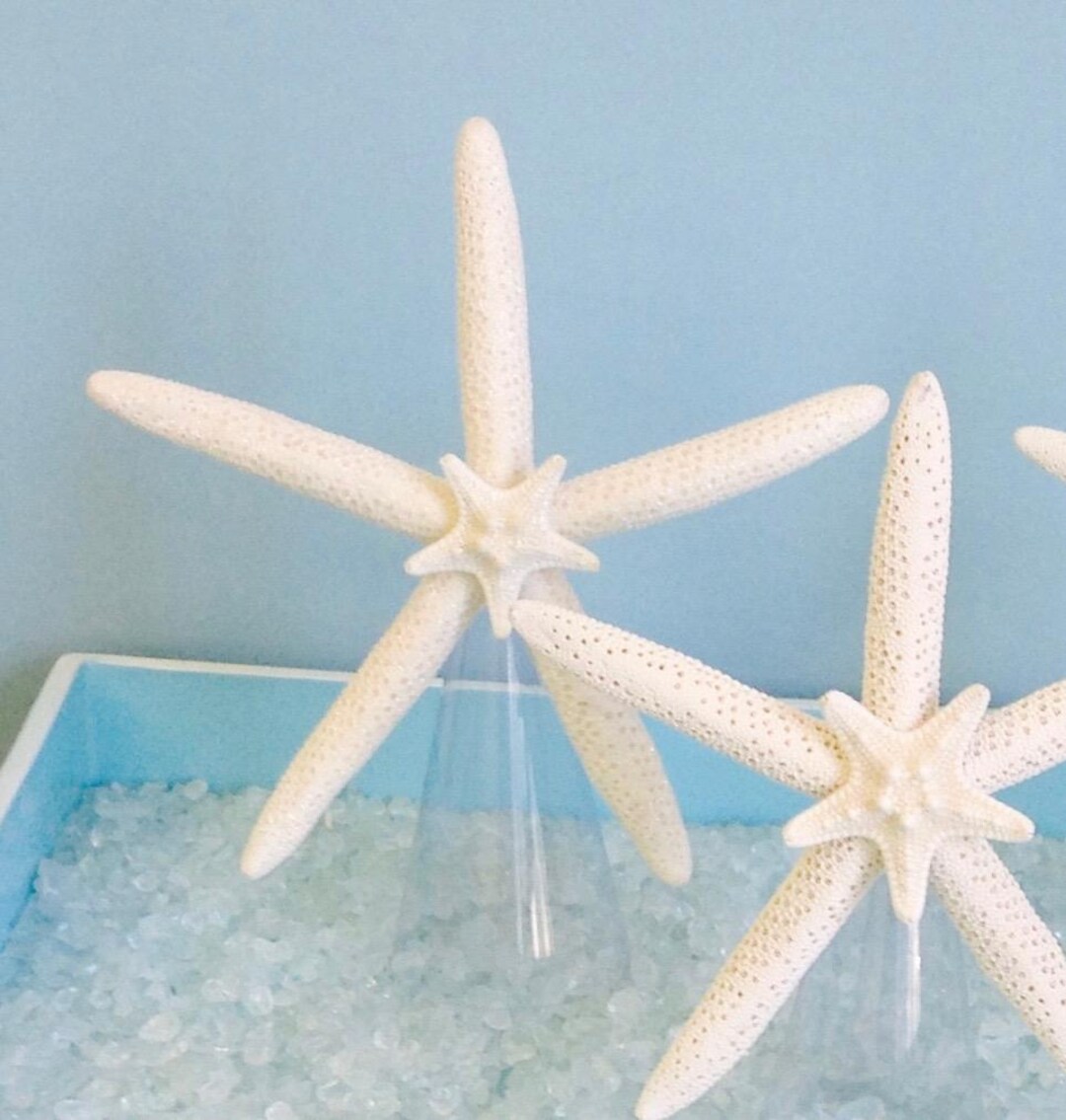 Starfish Christmas Tree Topper - Real Starfish Natural or Glittered ...