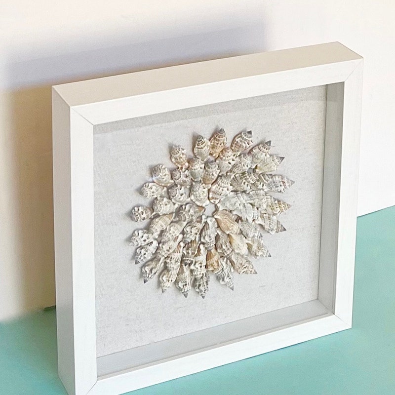 Seashell Shadow Box - Etsy
