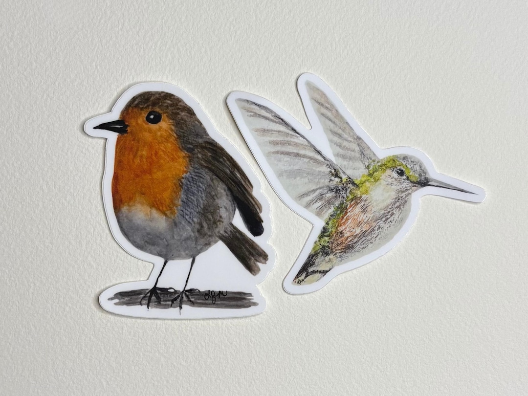 Robin and Hummingbird Vinyl Stickers - Etsy