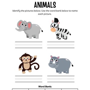 Printable Animal Activity Workbook for Kids - Etsy