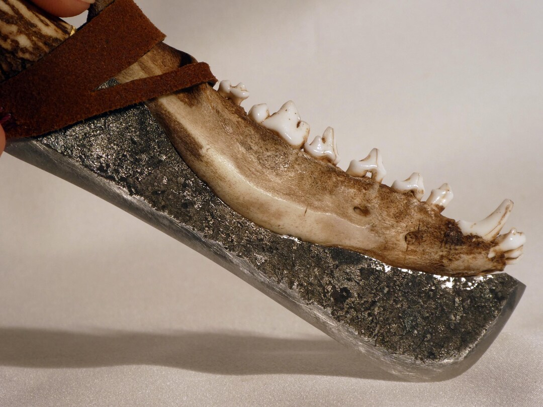 Hand-forged Hardened Steel Wyvern Jaw Knife Inspired by the Monster ...