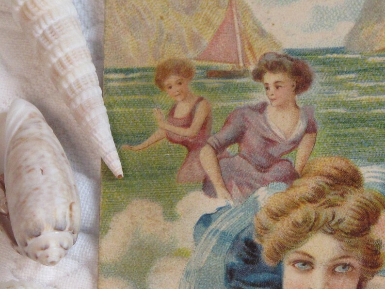 Postcard Bathing Beauty Beach Seaside Scene Antique Edwardian | Etsy