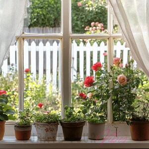 Spring Cottagecore Zoom Background,| Cozy Window View, Rose Garden ...