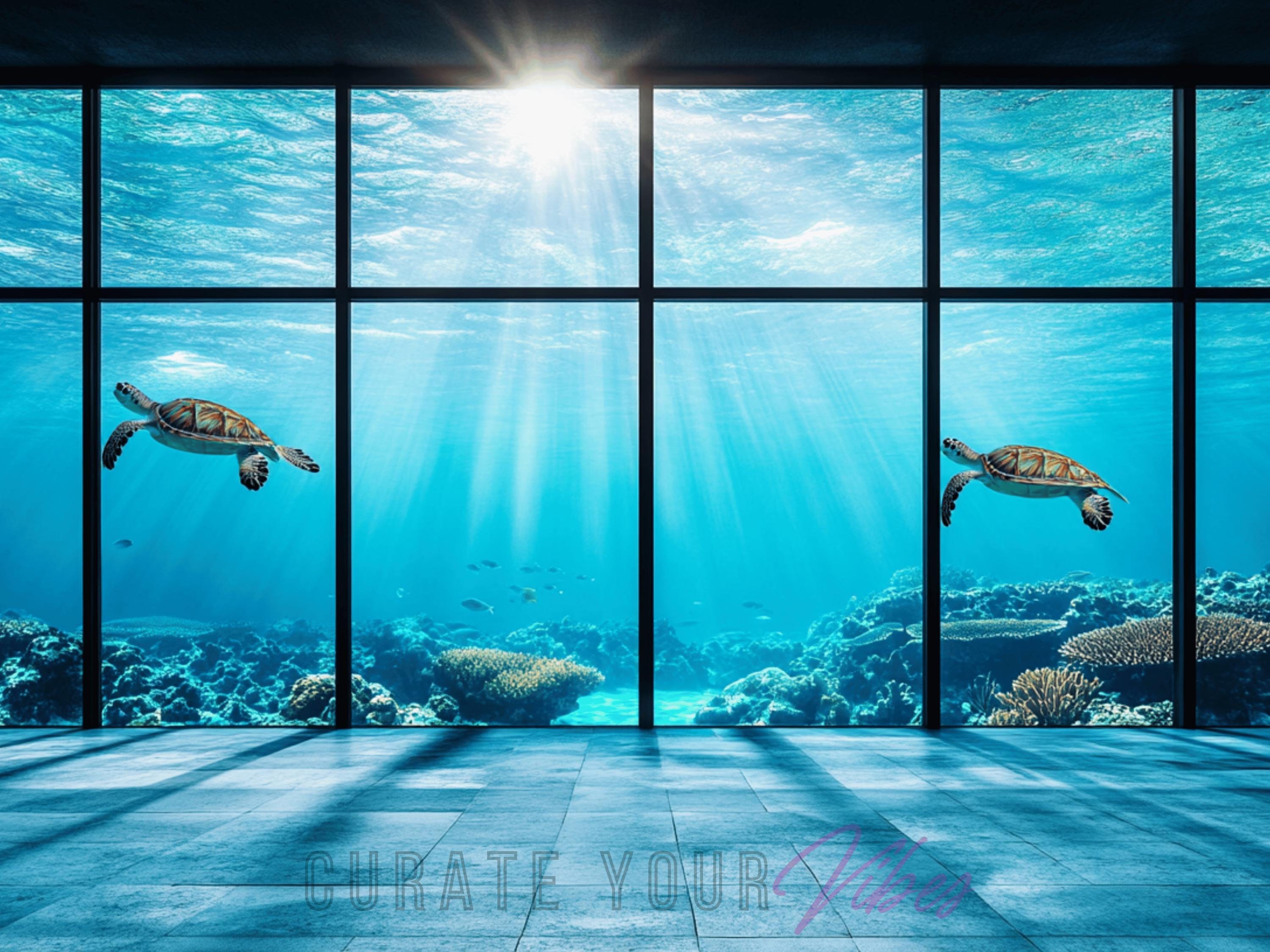Ocean Office Backgrounds, Underwater Ocean View Zoom Background, Turtle ...