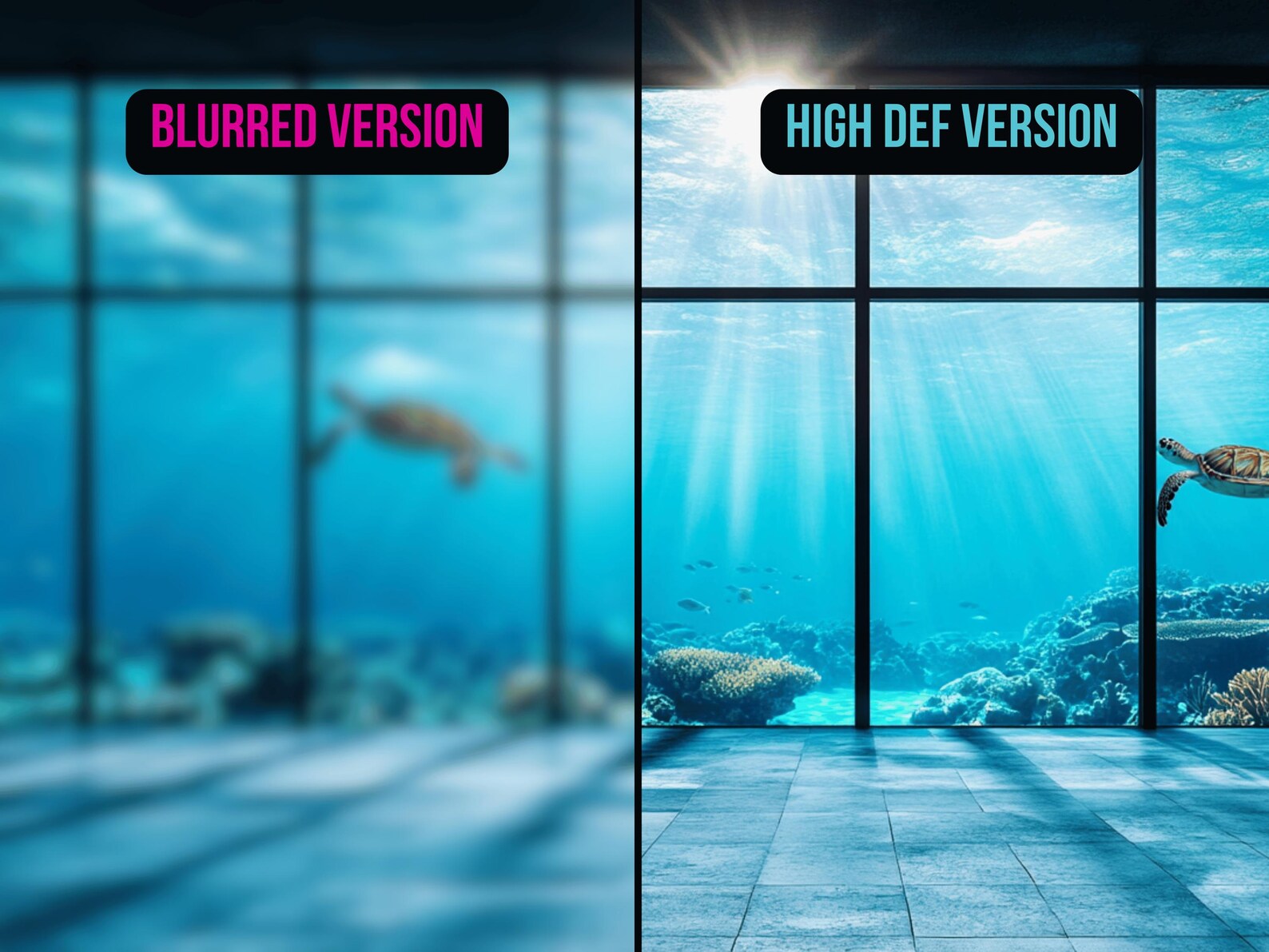 Ocean Office Backgrounds, Underwater Ocean View Zoom Background, Turtle ...