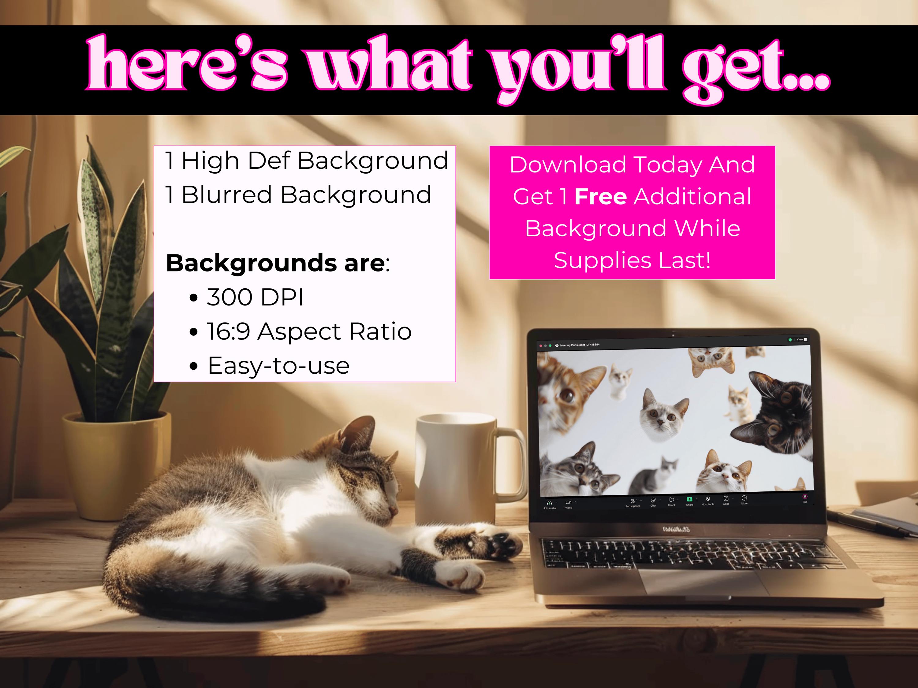 Funny Judgy Cats Zoom Background: Quirky Virtual Office Backdrop ...