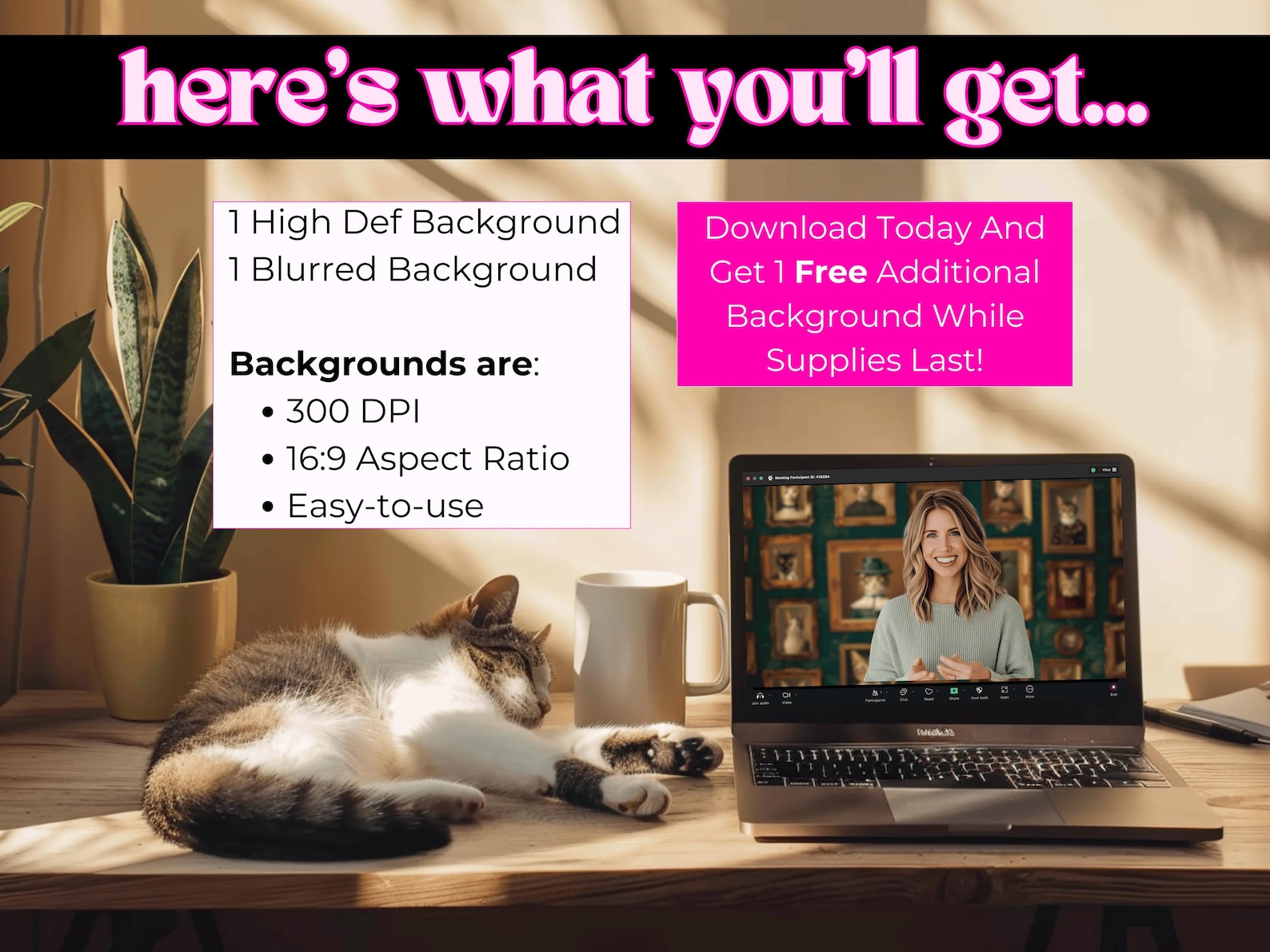 Cat Zoom Background Funny: Cat Portrait Gallery Wall Digital Backdrop ...