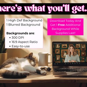 Cat Zoom Background Funny: Cat Portrait Gallery Wall Digital Backdrop ...