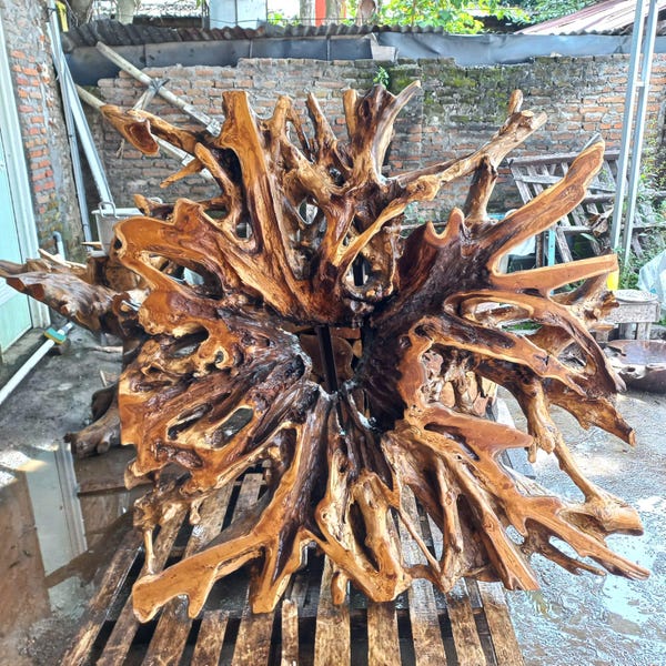 Teak Root - Etsy