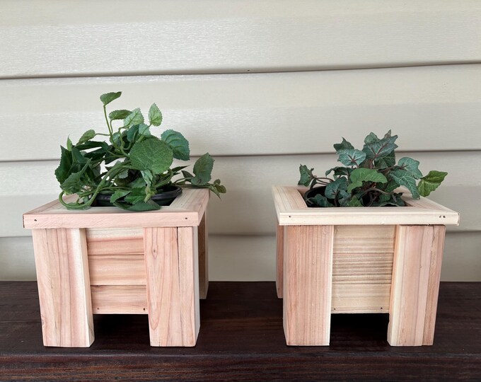 Set of 2 Miniature Cedar Wood Indoor or Outdoor Planter Boxes for Real ...