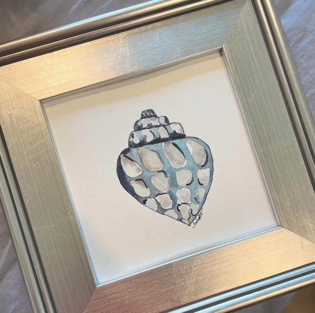 Seashell Watercolor Art | Hand Painted Blue Coastal or Beach House ...