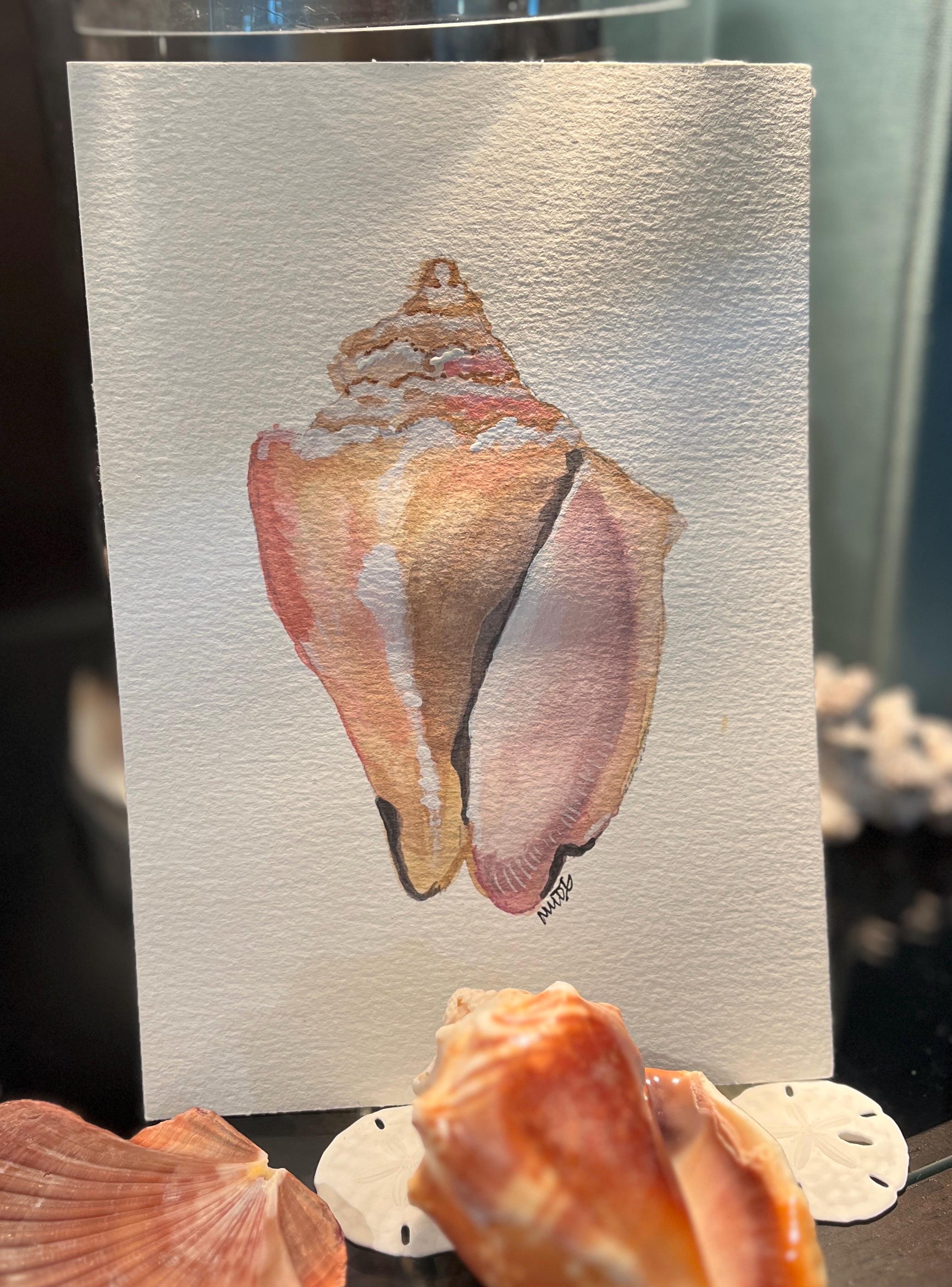 Conch Shell Hand Painted Watercolor - Original Ocean Marine Art ...