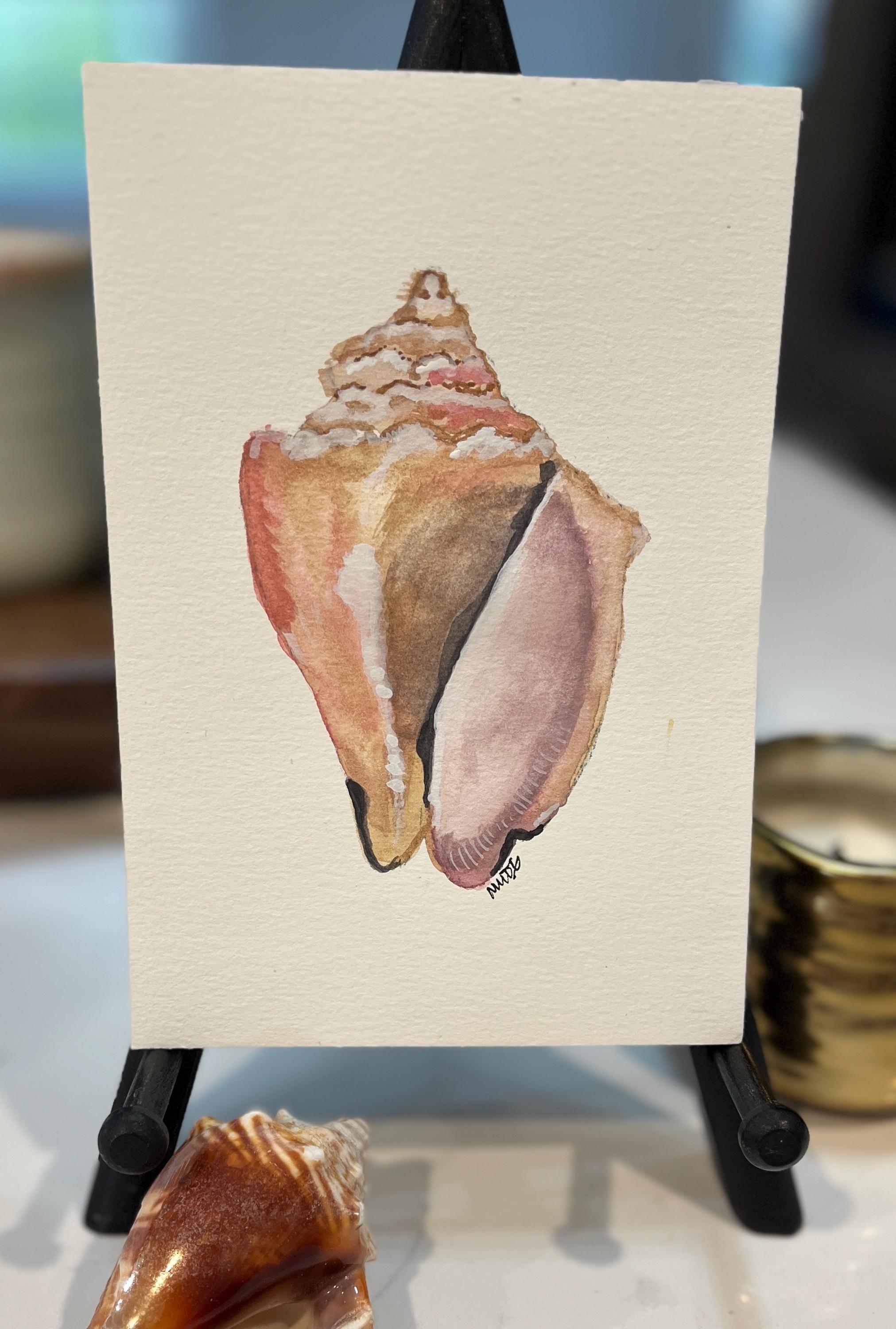Conch Shell Hand Painted Watercolor - Original Ocean Marine Art ...