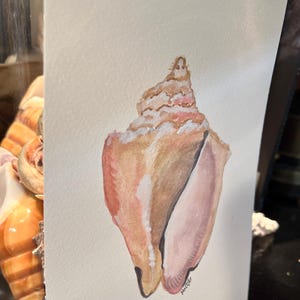 Conch Shell Hand Painted Watercolor - Original Ocean Marine Art ...