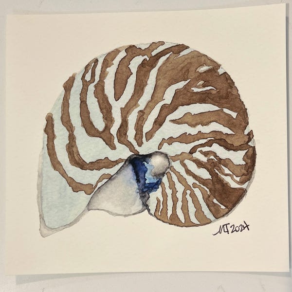 Nautilus Art - Etsy
