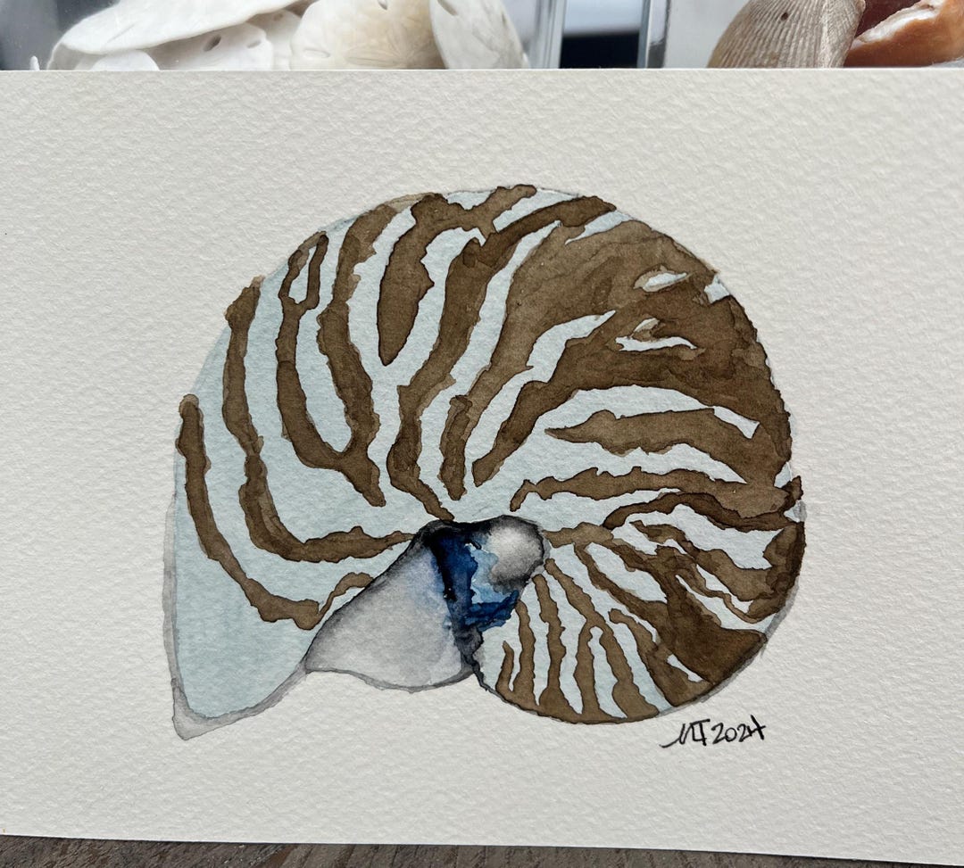 Elegant Nautilus Shell Hand Painted Watercolor – Original Coastal Wall ...