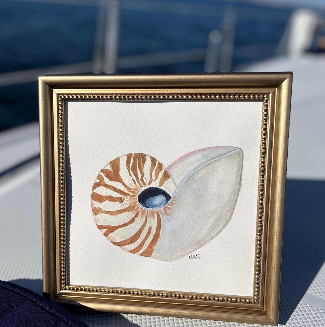 Nautilus Shell Watercolor Painting - Hand-painted 8x8 Original Sea ...