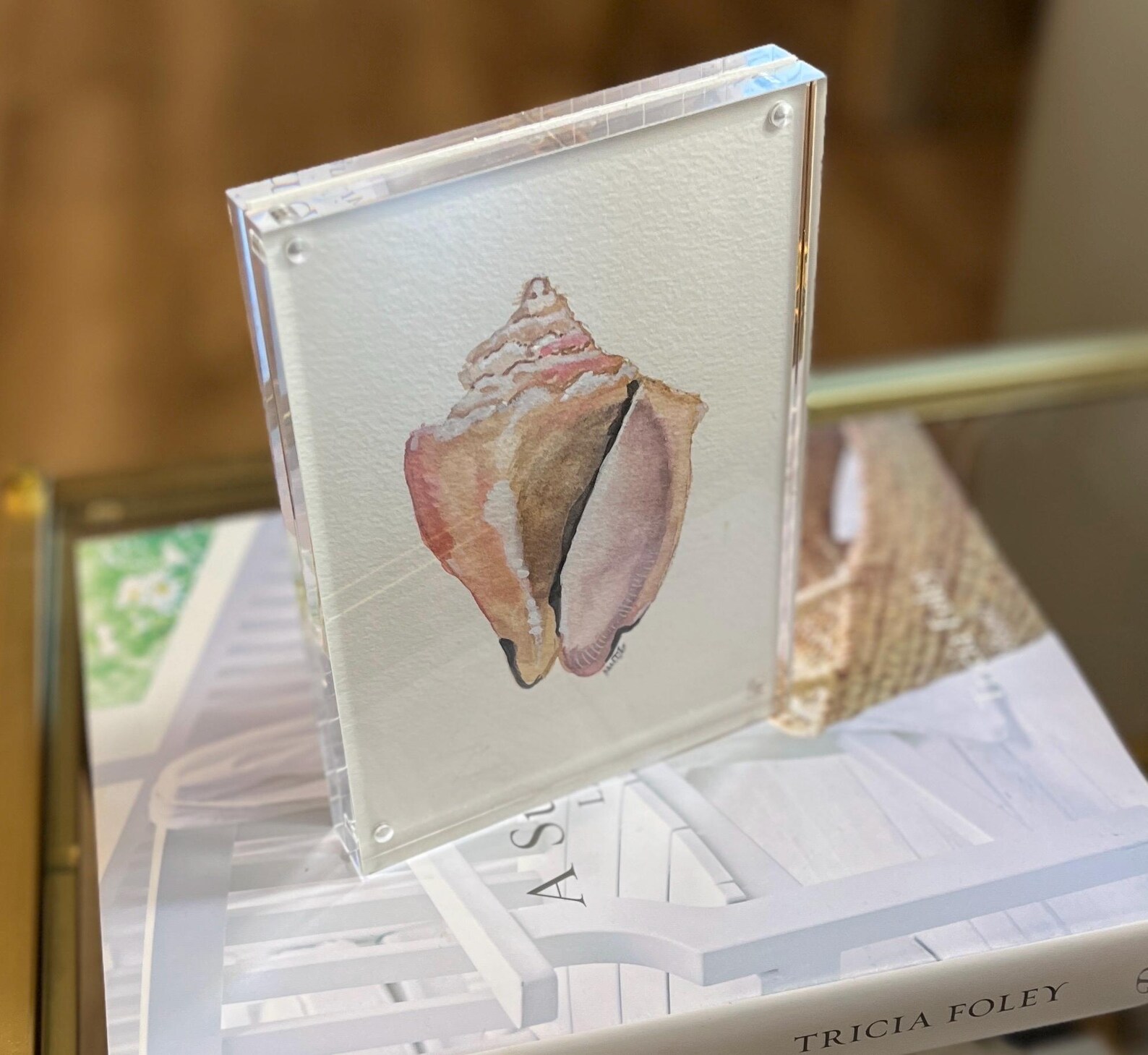 Conch Shell Hand Painted Watercolor - Original Ocean Marine Art ...