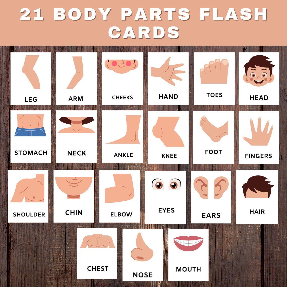 Body Parts Flashcards, Printable Montessori Flash Cards,pre-school ...
