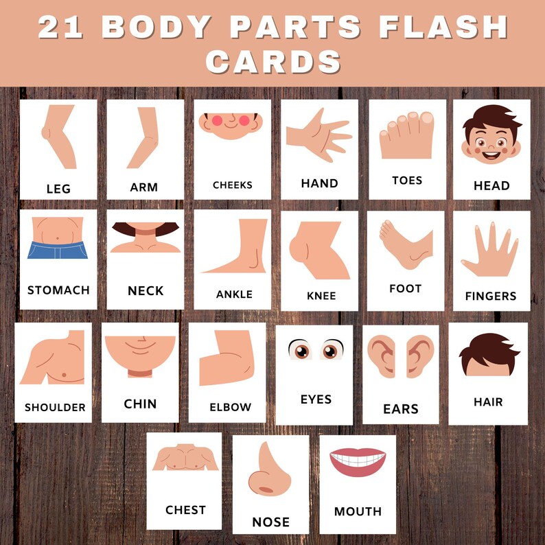 Body Parts Flashcards, Printable Montessori Flash Cards,pre-school ...
