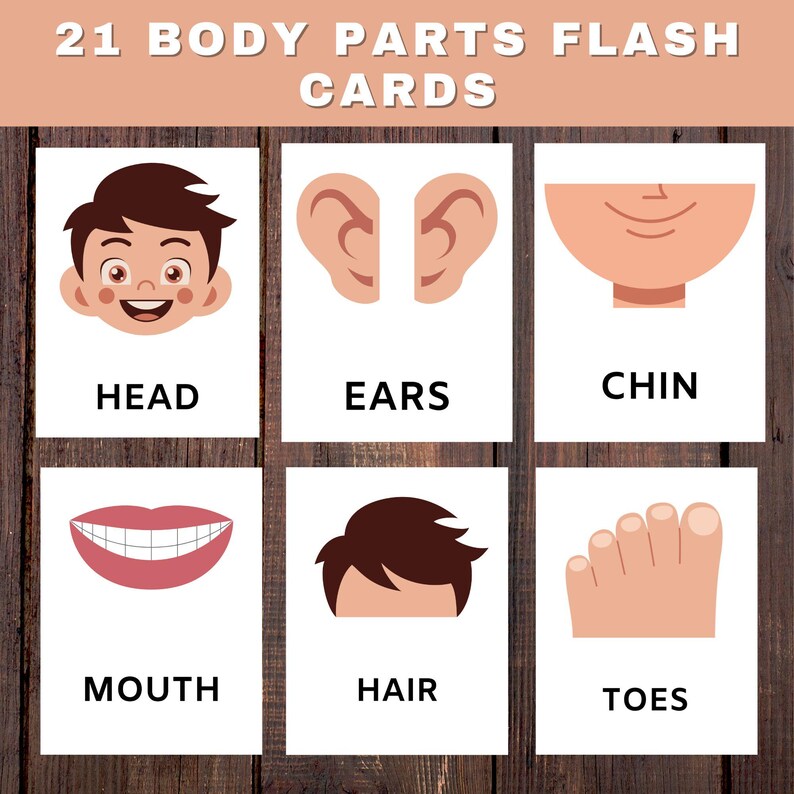 Body Parts Flashcards, Printable Montessori Flash Cards,pre-school ...