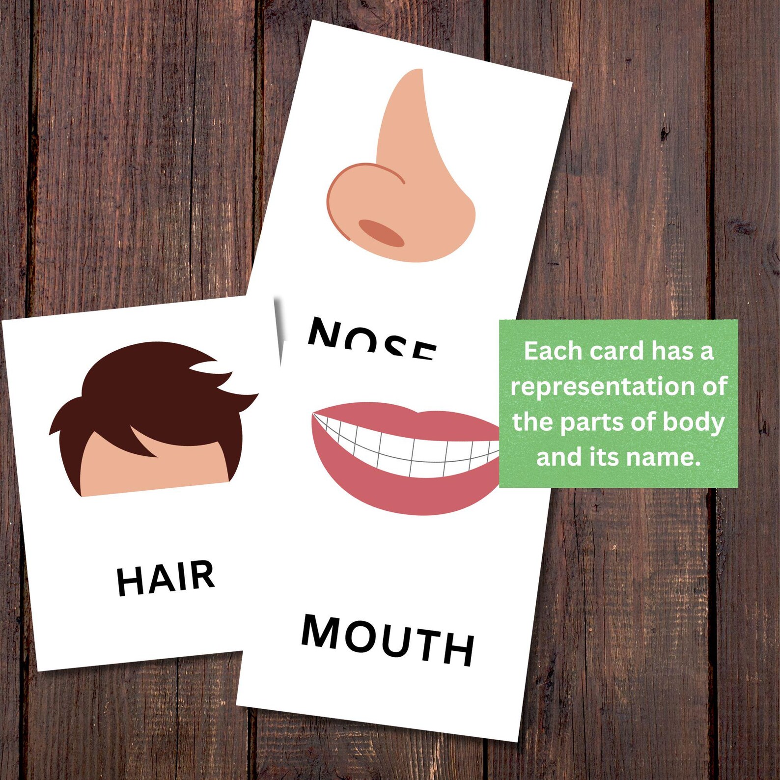 Body Parts Flashcards, Printable Montessori Flash Cards,pre-school ...