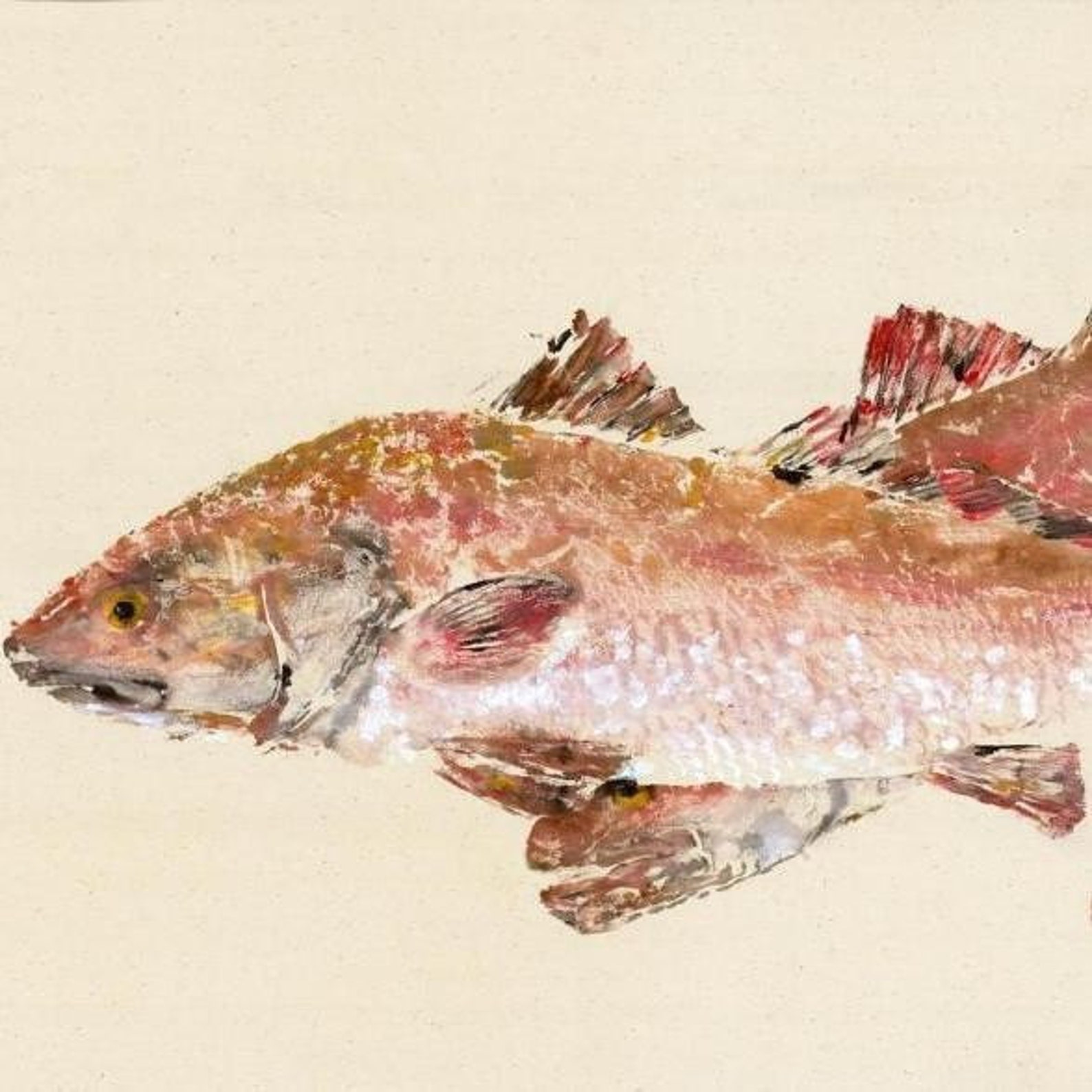 Redfish - "roamin' Reds" - Gyotaku Fish Rubbing - Limited Edition Print ...