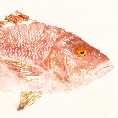 Red Snapper Gyotaku Fish Rubbing Limited Edition Print - Etsy