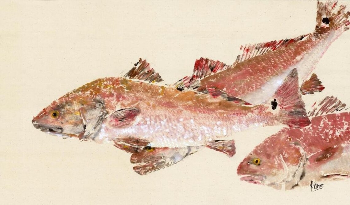 Redfish - "roamin' Reds" - Gyotaku Fish Rubbing - Limited Edition Print ...