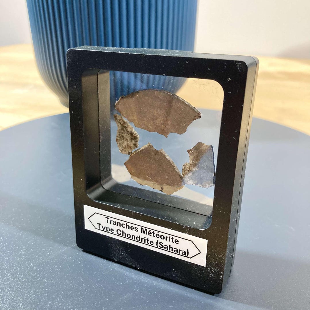 Chondrite Meteorite Slices From the Sahara Rare Pieces for Collection ...