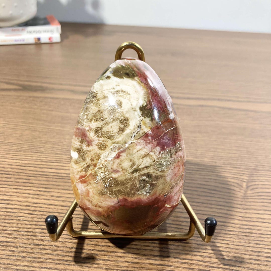 Polished Egg in Septaria Sedimentary Rock Composed of Calcite Rare ...