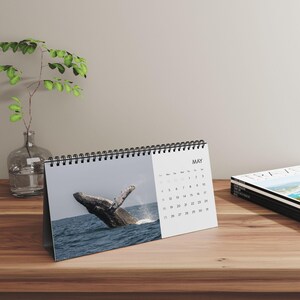 Miss. Whale 2025 / Calendar - Etsy