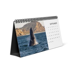 Miss. Whale 2025 / Calendar - Etsy