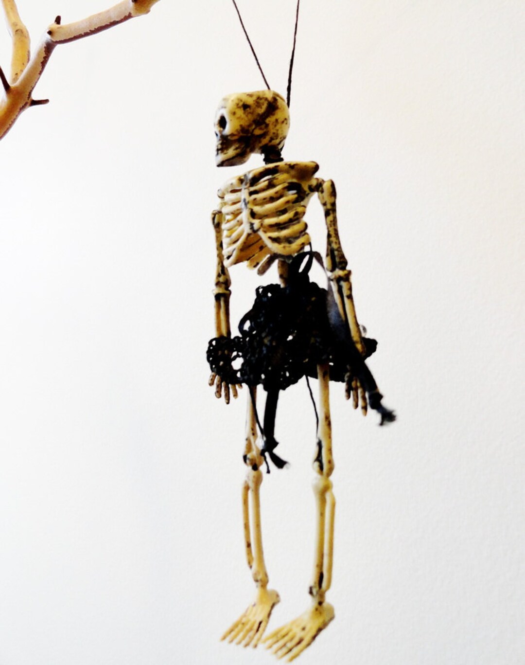 Miss Otis Regrets, Dressed Skeleton Halloween Decoration Goth Jewelry ...