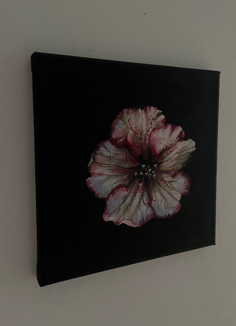 Petal Echo - Realistic Pink and White Flower Acrylic Painting on Black ...