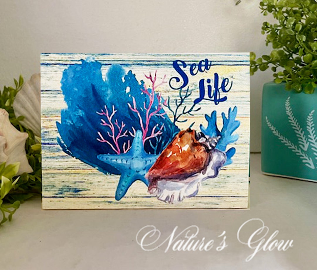 Sea Life Beach Sign, Wood Nautical Coastal Seashell Sign Decor, Beach ...
