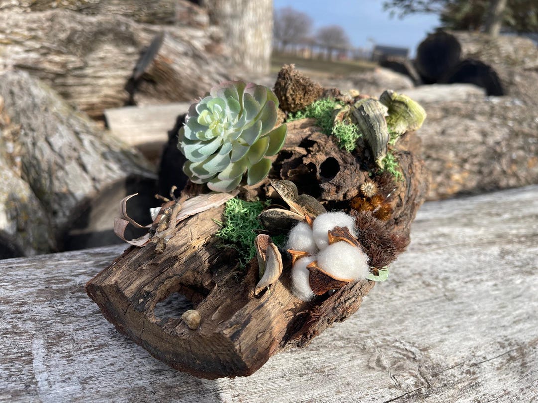 Woodland Treasures Centerpiece, Rustic Nature Decor, Zen Coffee Table ...