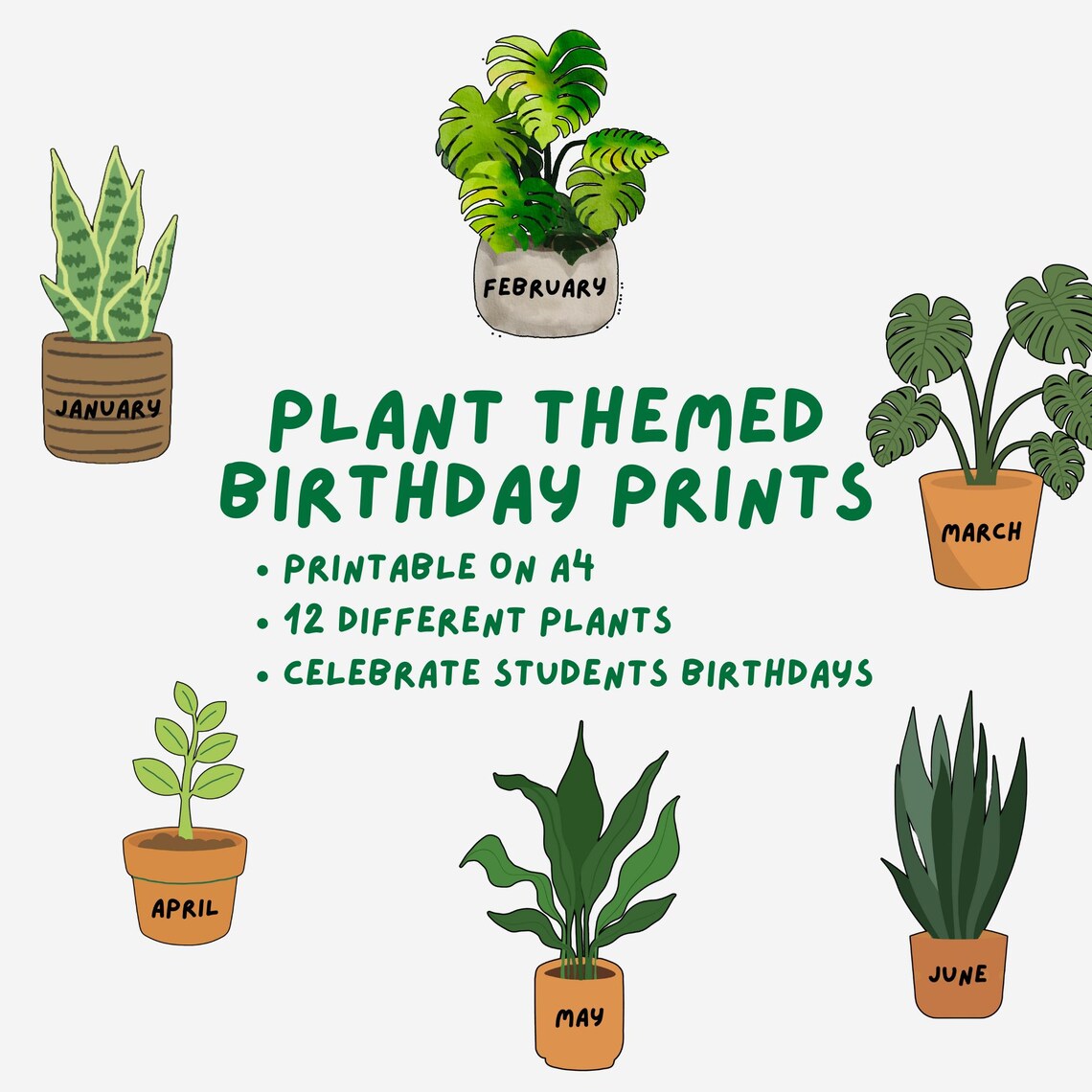 Plant-themed Birthday Board | Classroom Birthday Display | Printable ...