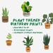 Plant-themed Birthday Board | Classroom Birthday Display | Printable ...