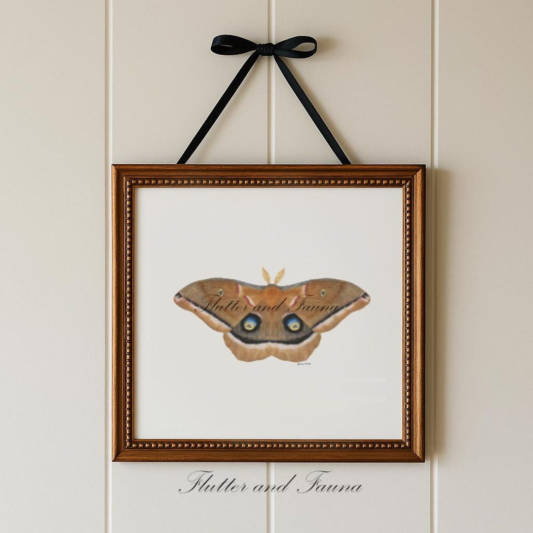 Moth Wall Art, Polyphemus Watercolor Print. (digital Download) - Etsy
