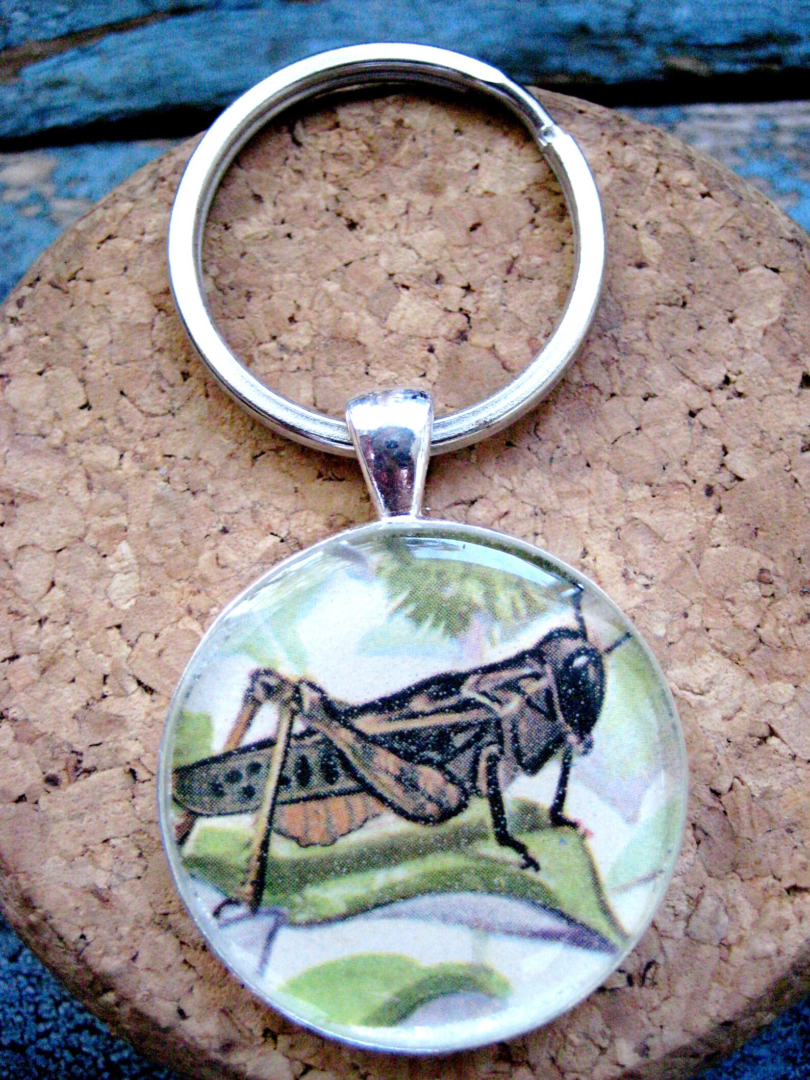 Vintage Grasshopper Watercolor Illustration Silver and Resin Keychain/pendant From 1960 Children ...
