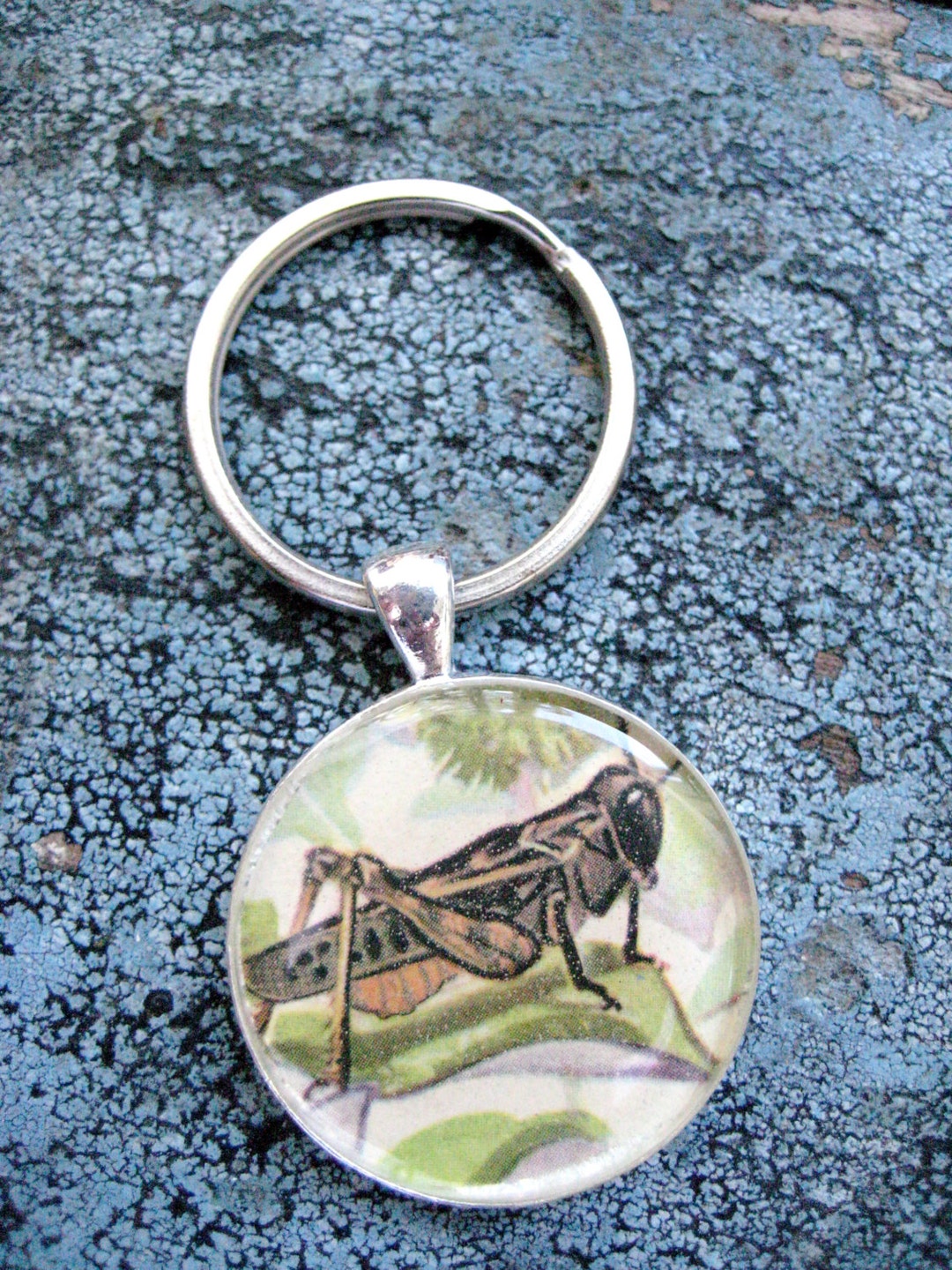 Vintage Grasshopper Watercolor Illustration Silver and Resin Keychain/pendant From 1960 Children ...