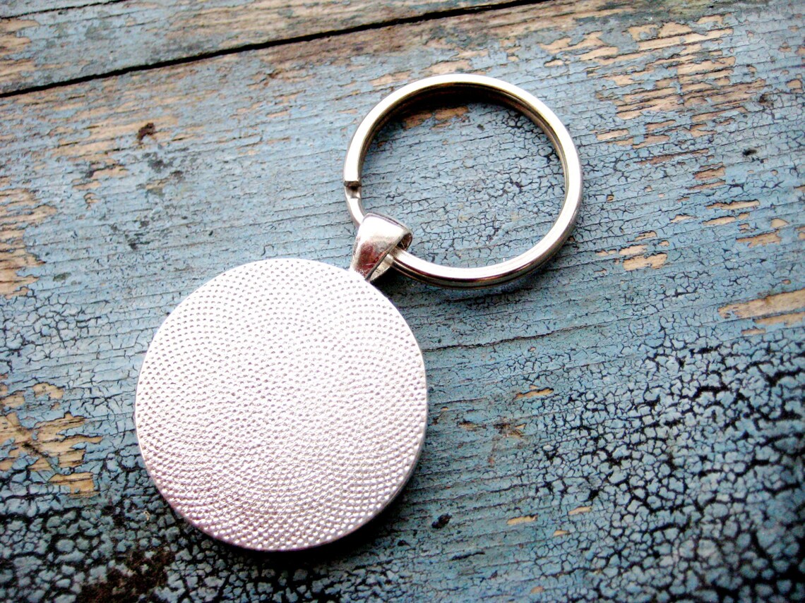 Early Prophase 1 Mitosis Cell Cycle Silver Keychain/pendant - Etsy