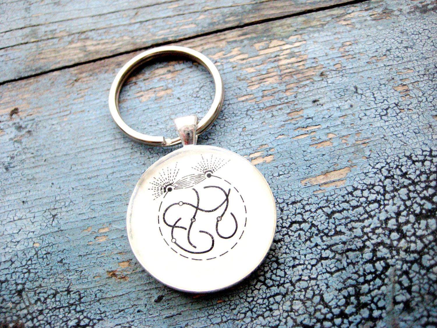 Early Prophase 1 Mitosis Cell Cycle Silver Keychain/pendant Series - Etsy