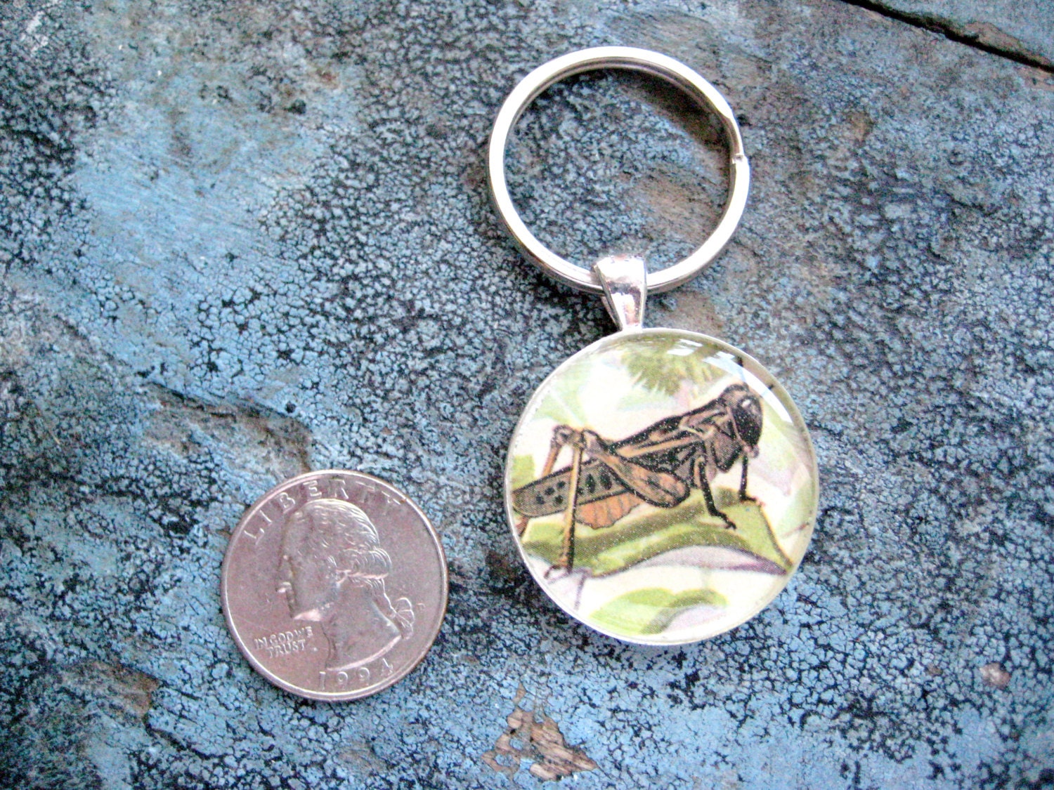 Vintage Grasshopper Watercolor Illustration Silver and Resin Keychain/pendant From 1960 Children ...